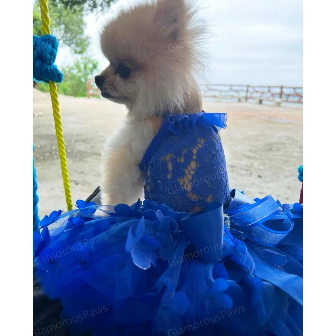 Customizable Wedding Dog Dress, Blue 3D Flower Tulle Dress for Large ...