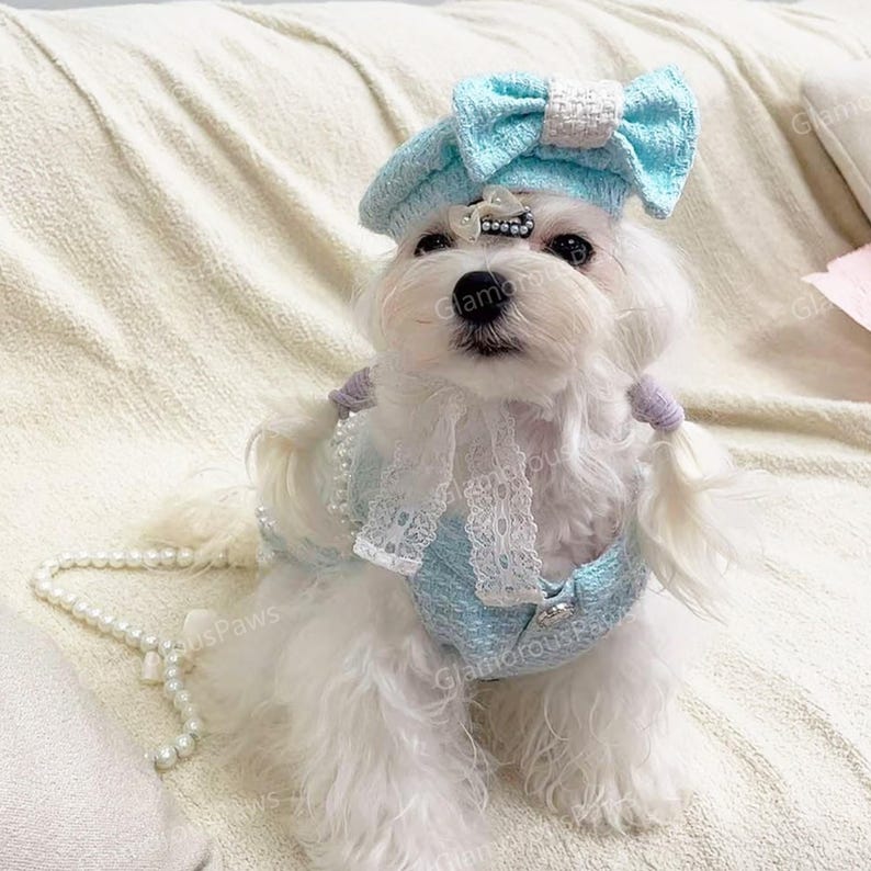 Customizable Pale Blue Tweed Dress for Dogs and Cats, Vintage Tweed ...
