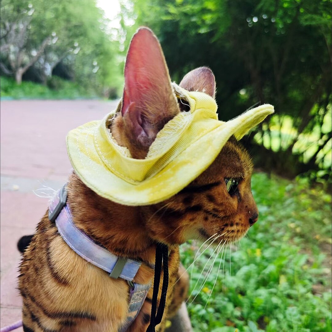 Summer Bucket Hat With Ear Holes for Cats and Dogs, Kitten Sunbonnet ...