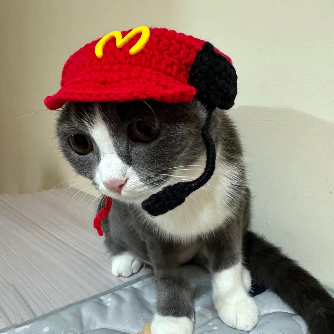 Fast Food Costume for Cats and Dogs, Snackbar Staff Uniform Chef Pet ...