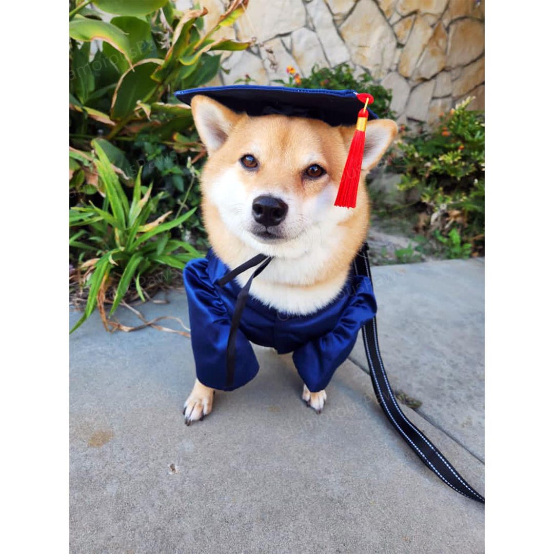 Customizable Dog Graduation Gown With Cap, Graduation Gown for Large ...