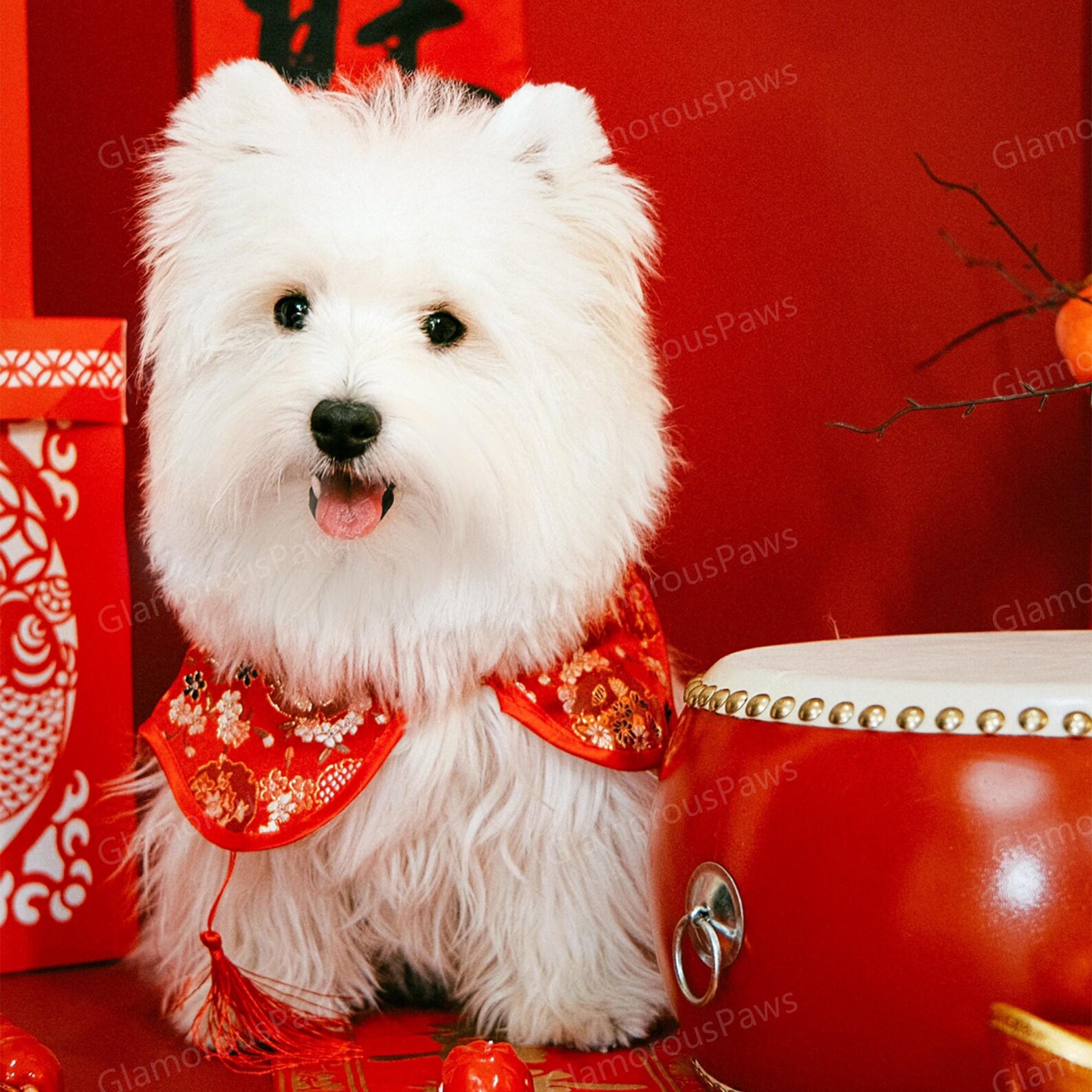 New Year Bandana Bib for Dogs and Cats, Chinese Spring Festival Red ...