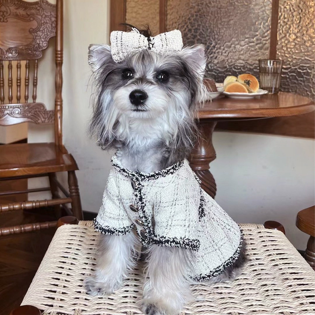 Beige Tweed Dress for Dogs and Cats Vintage Luxury Tweed - Etsy