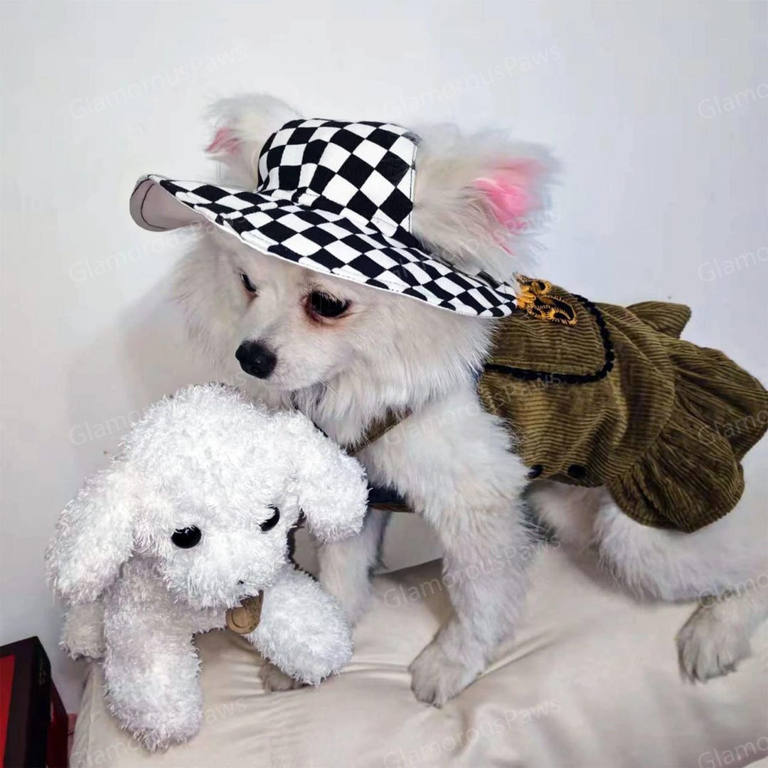 Summer Bucket Hat With Ear Holes for Large Dogs, Big Dogs Sunbonnet ...