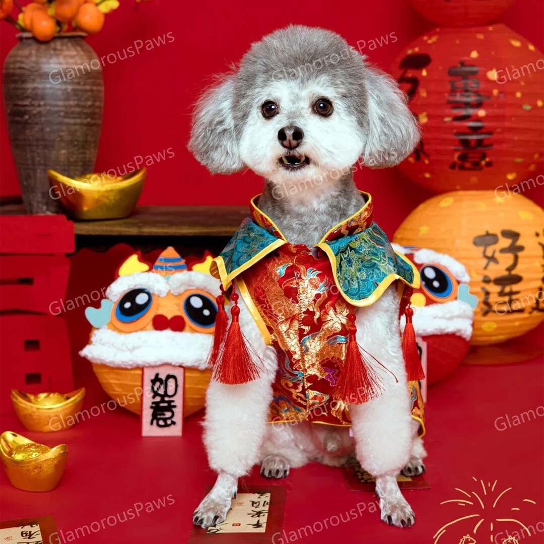 Chinese New Year Dog Outfit, Red Gold Dragon Embroidered Cheongsam ...