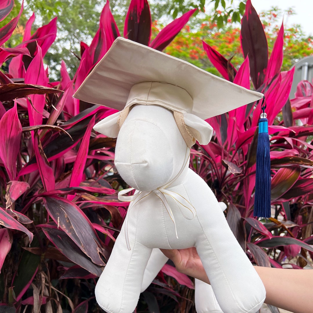 Customizable Dog Graduation Cap With Ears Holes, Graduation Cap for ...