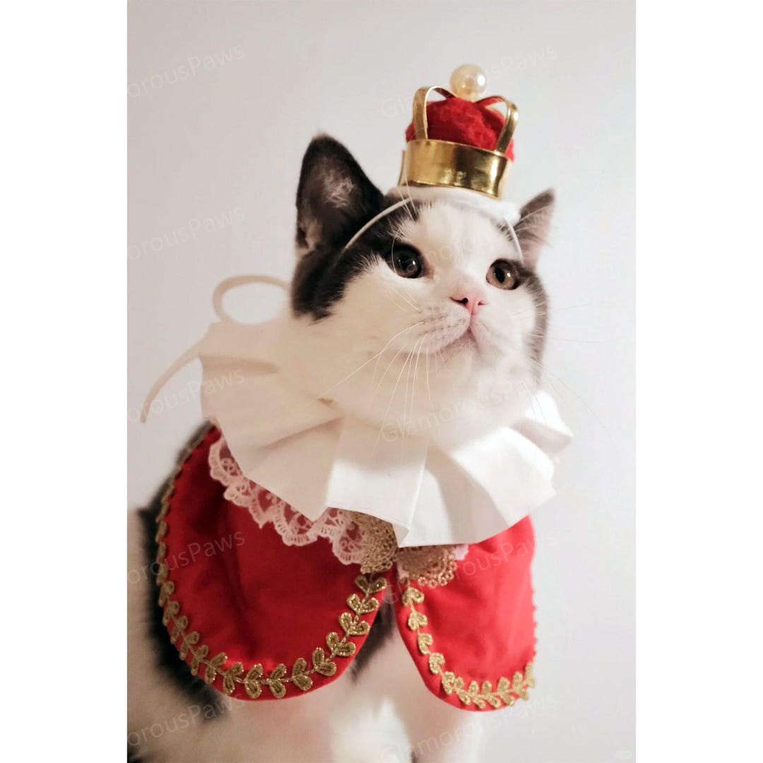 Halloween Cat King Costume, Gold Red Cape With White Bandana and Crown ...