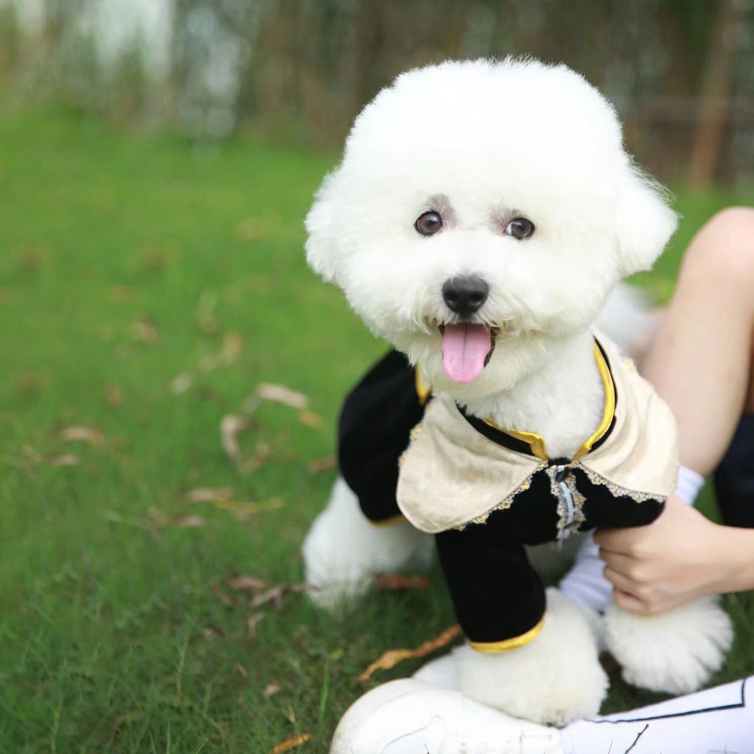 Halloween Dog Prince Costume, Dog Military Uniform Commander Outfit ...