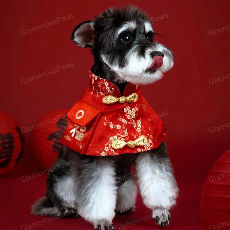 New Year Bandana Bib With Purse for Dogs and Cats, Chinese Spring ...