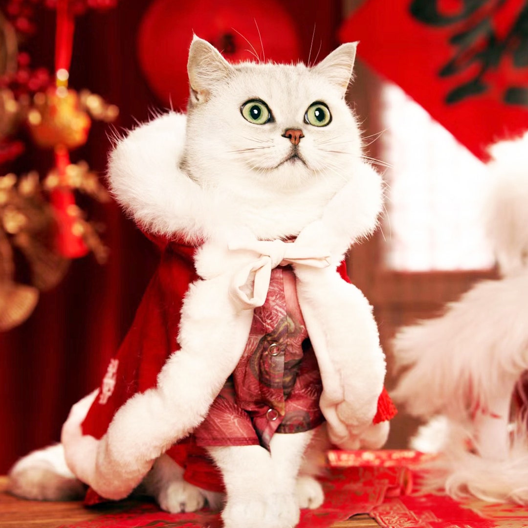 Cat Christmas Costume, Xmas Santa Red Hooded Cape for Cats and Dogs ...