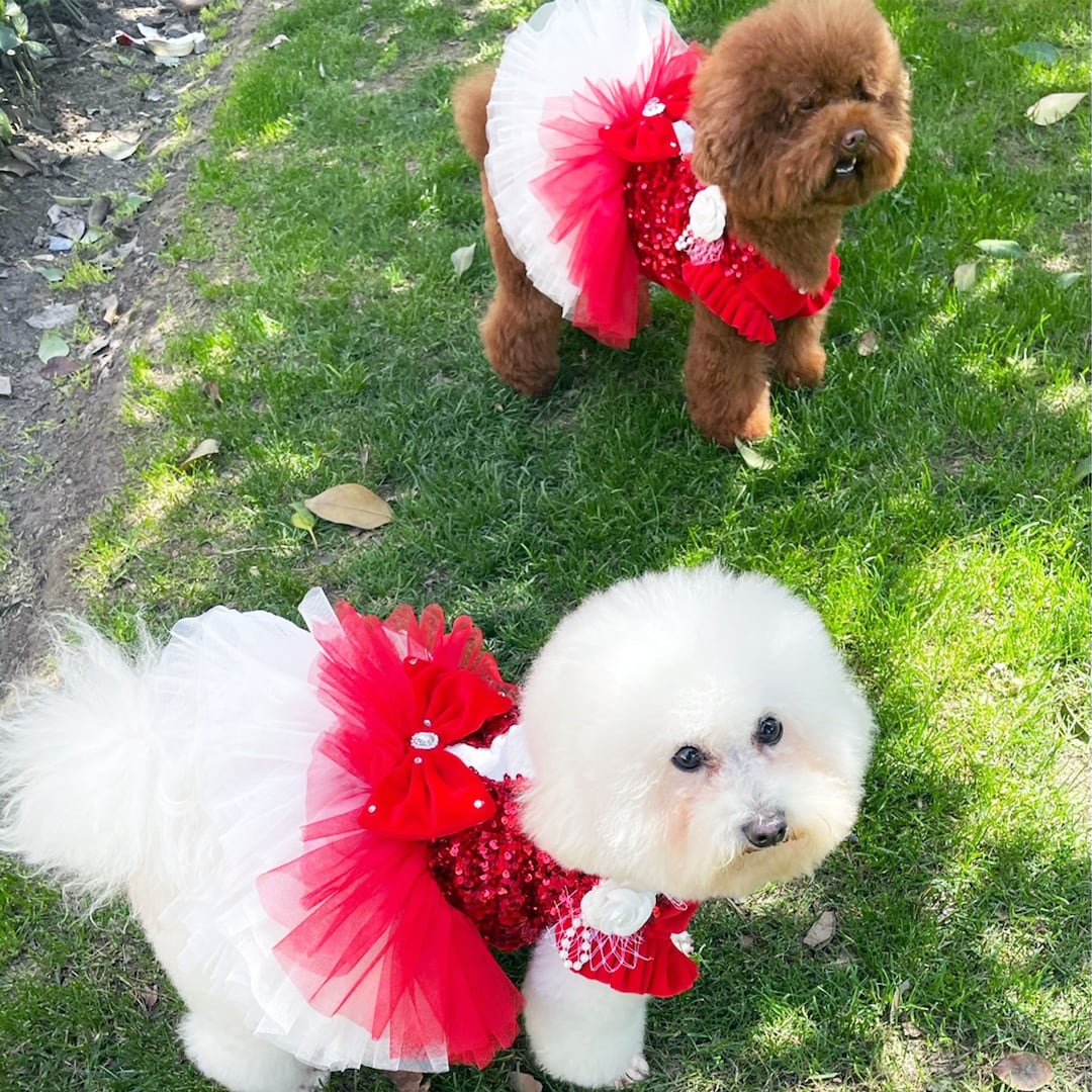 Customizable Summer Dog Dress, Sparkly Red Tulle Dress for Dogs and ...