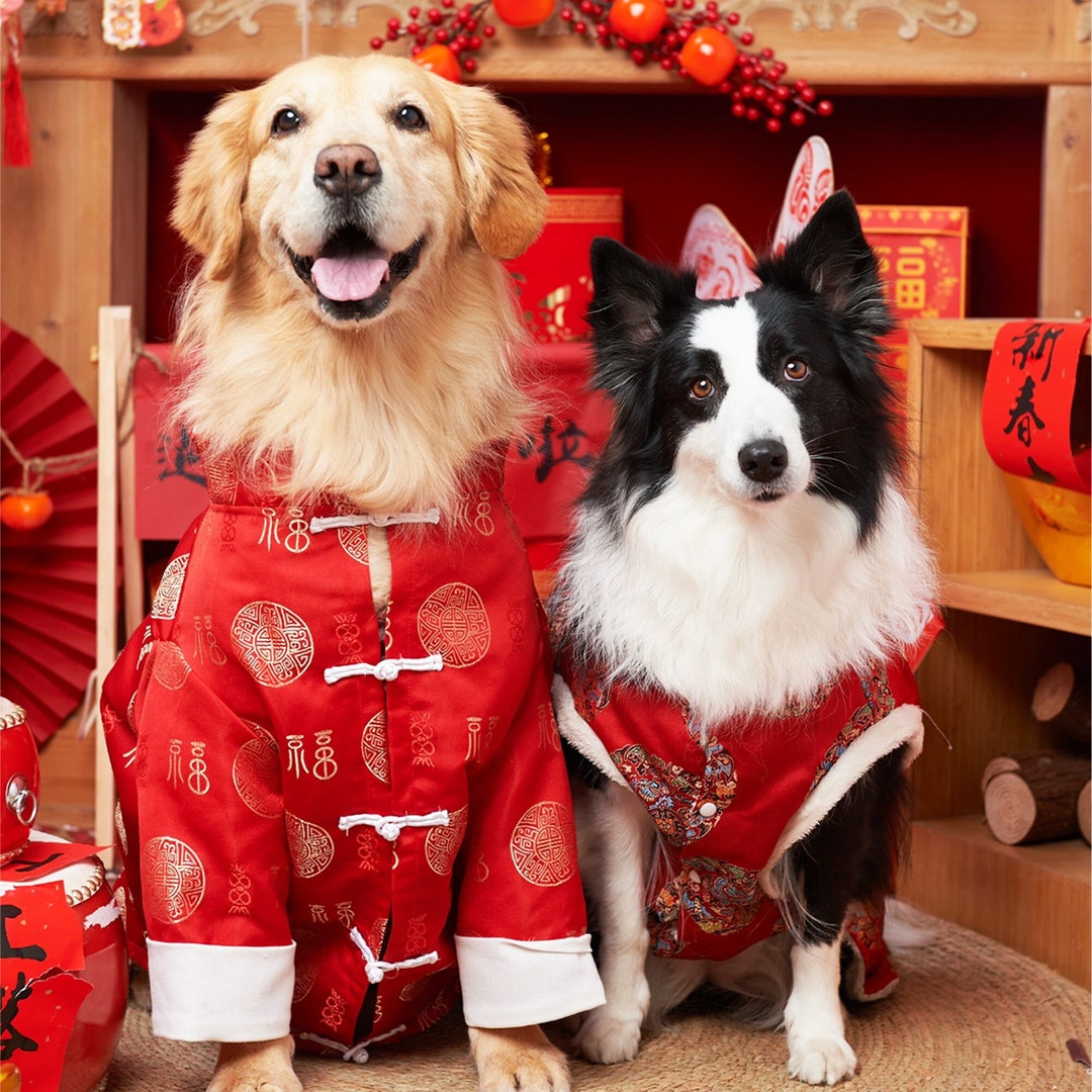 Custom New Year Outfit for Large Dogs, Chinese Spring Festival Tang ...