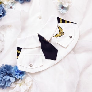 Cat Pilot Bandana Bib, Dog Pilot Costume Pet Halloween Outfit, Airline ...