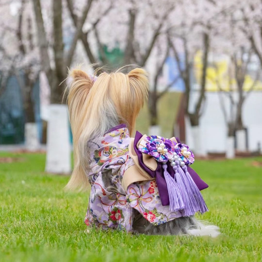 Japanese Kimono for Dogs, Lilac Kimono With Large Bow for Dogs and Cats ...
