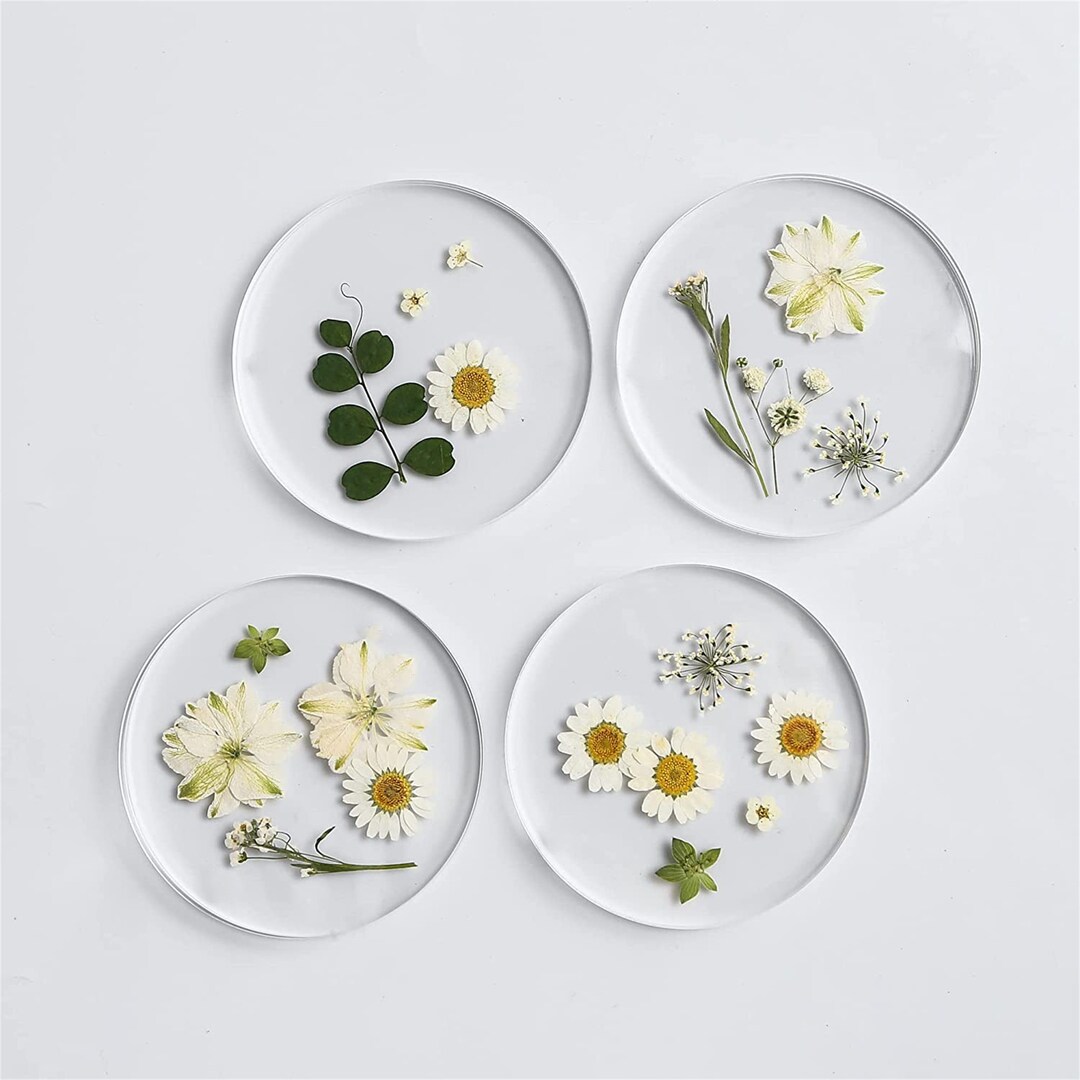 Resin Daisy Flowers Coasters, Pressed Dried Flowers Outdoor Coasters ...