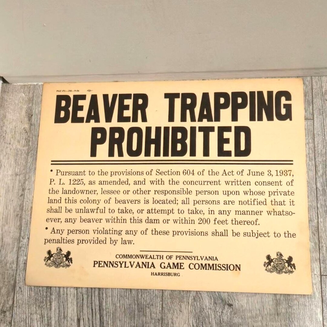 1956 Pennsylvania Game Commission Sign Beaver Trapping Prohibited ...