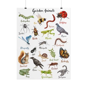 Rolled Poster, Garden Animals, Classroom Decor, Kids Room Wall Art ...