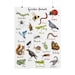 Rolled Poster, Garden Animals, Classroom Decor, Kids Room Wall Art ...