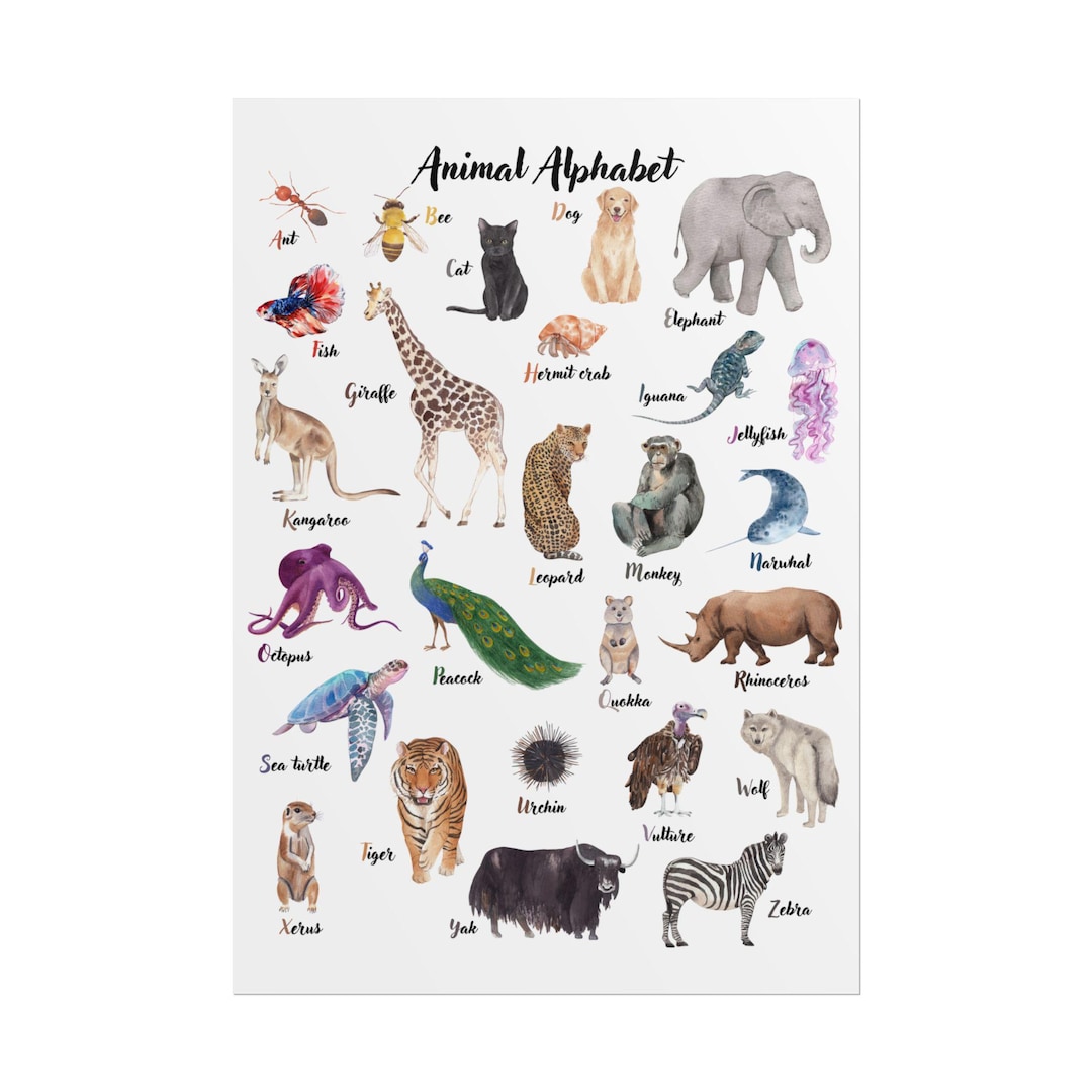 Rolled Poster, Alphabet Chart With Animals A to Z for Nursery, Kids ...