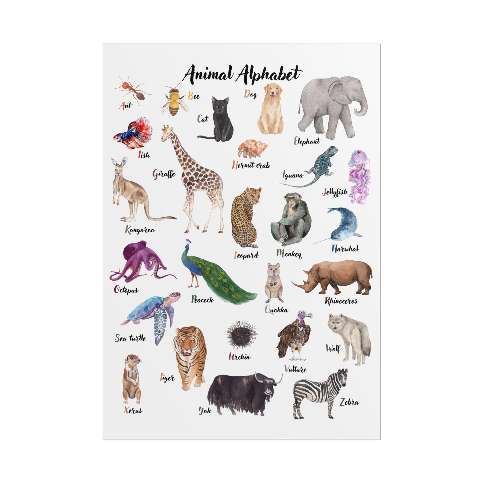 Rolled Poster, Alphabet Chart With Animals A to Z for Nursery, Kids ...