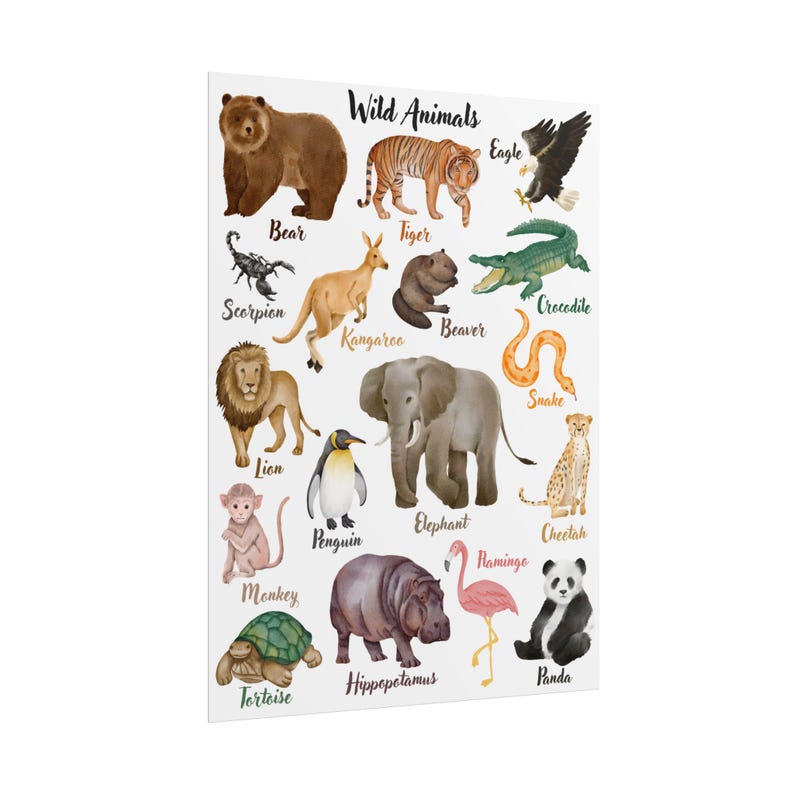 Rolled Poster, Wild Animals, Classroom Decor, Kids Room Wall Art ...
