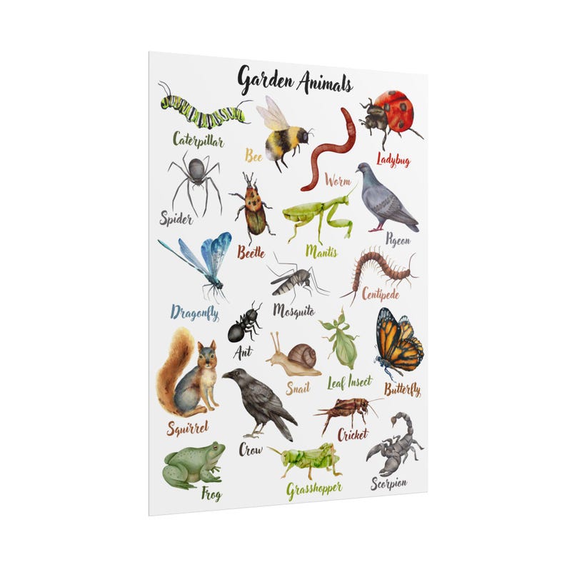Printable Poster, Garden Animals, Classroom Decor, Kids Room Wall Art ...