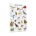 Rolled Poster, Garden Animals, Classroom Decor, Kids Room Wall Art ...
