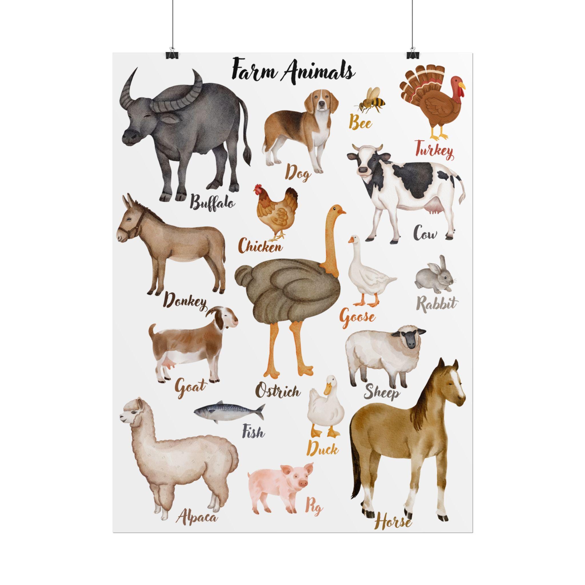 Rolled Poster, Farm Animals, Classroom Decor, Kids Room Wall Art ...
