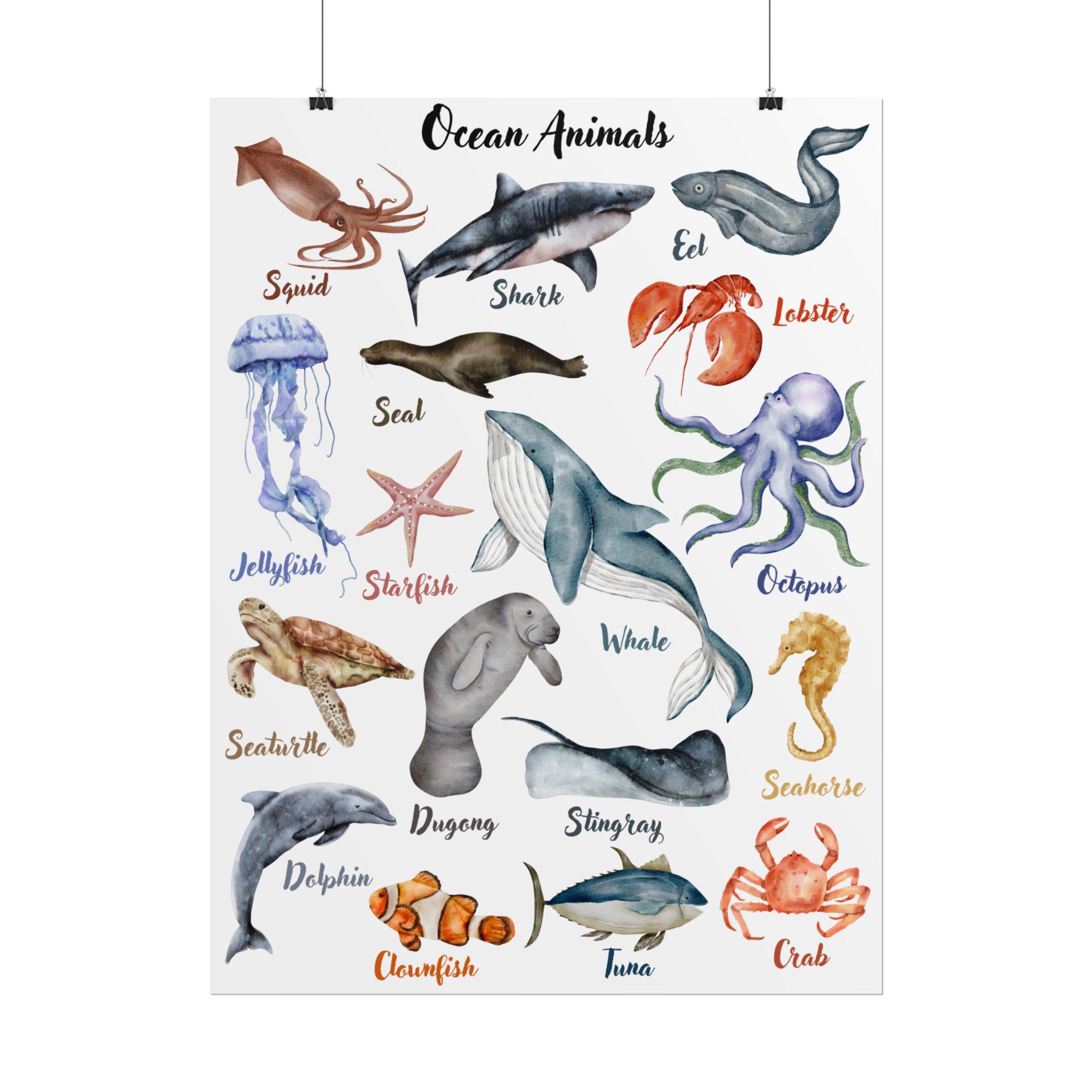 Rolled Poster, Ocean Animals, Classroom Decor, Kids Room Wall Art ...