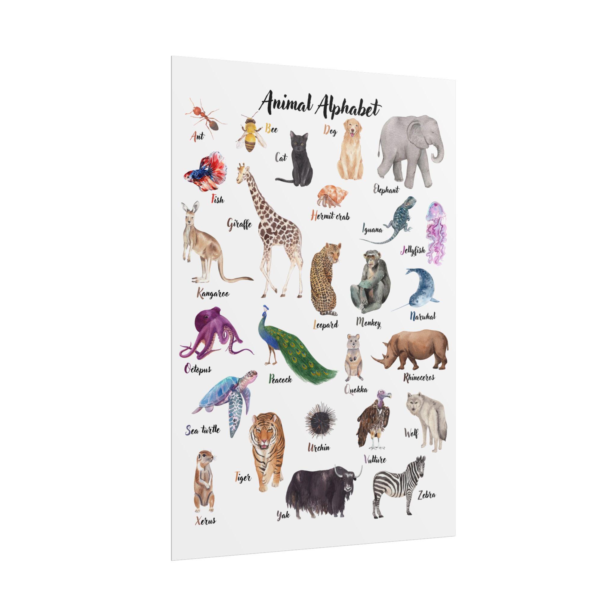 Rolled Poster, Alphabet Chart With Animals A to Z for Nursery, Kids ...