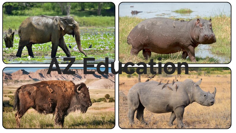 Printable Wild Animals Land Mammals Literacy Game, Language & Literacy ...