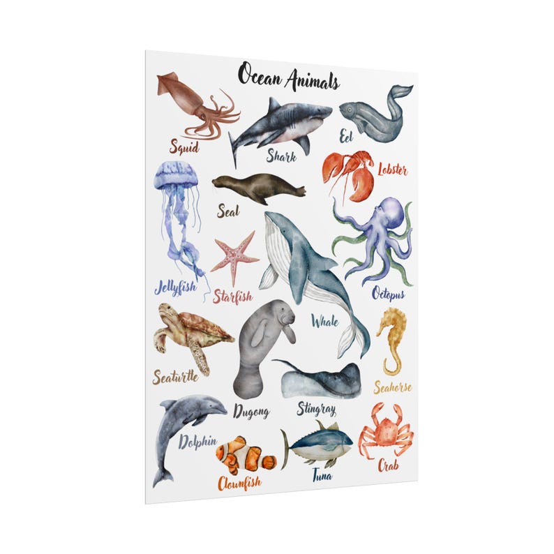 Rolled Poster, Ocean Animals, Classroom Decor, Kids Room Wall Art ...