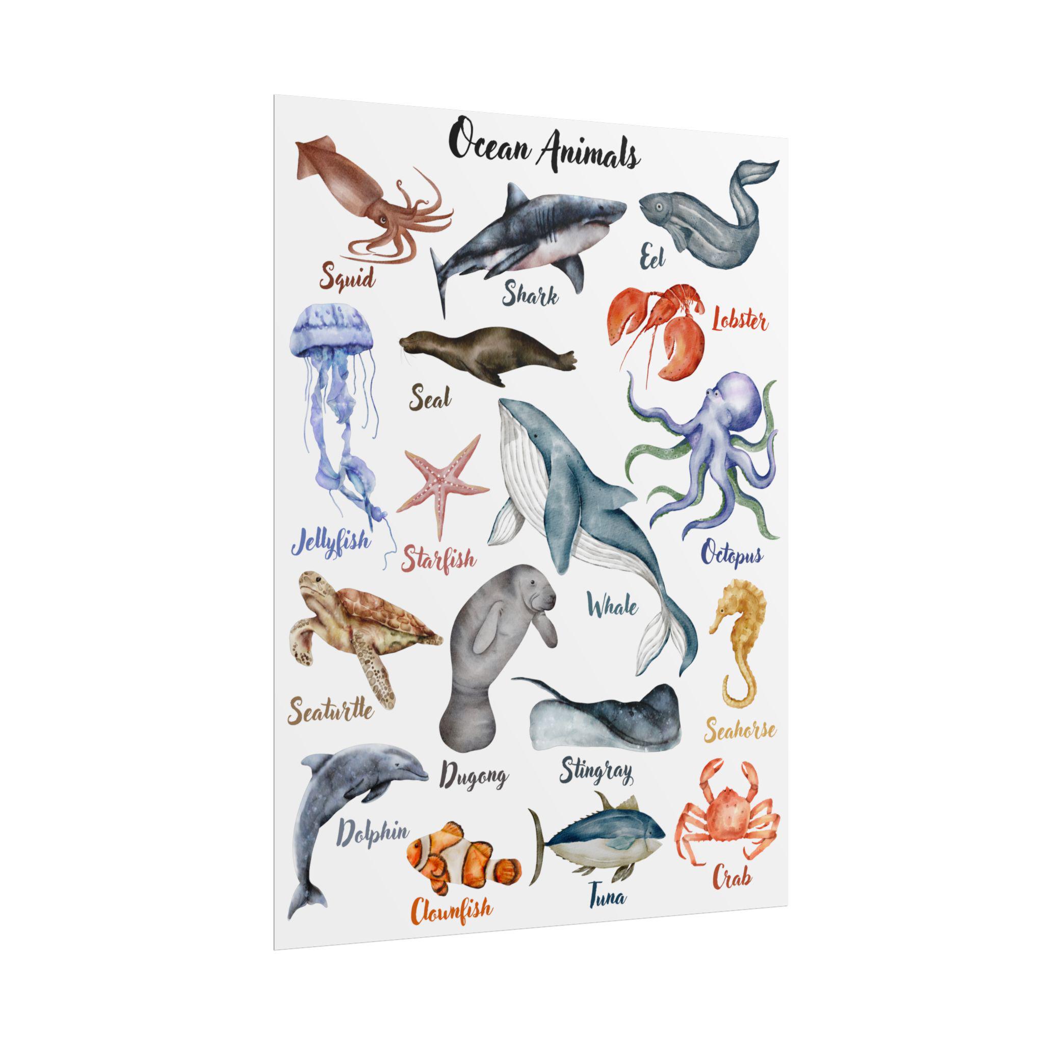 Rolled Poster, Ocean Animals, Classroom Decor, Kids Room Wall Art ...