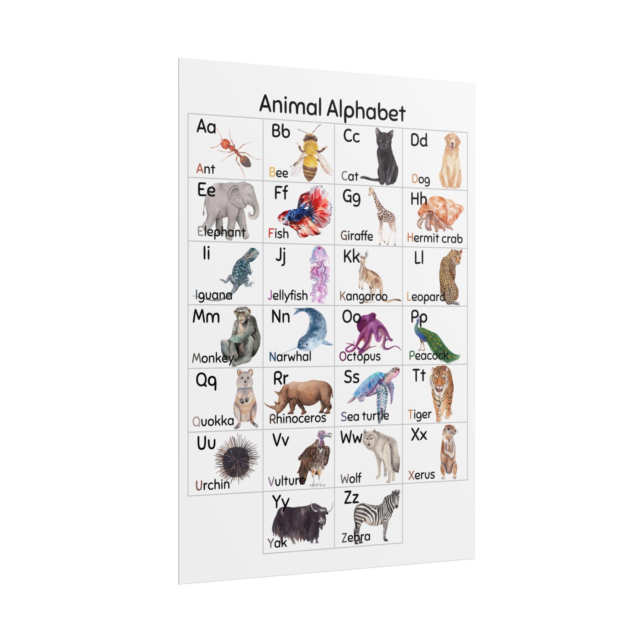 Rolled Poster, Alphabet Chart With Animals A to Z for Nursery, Kids ...