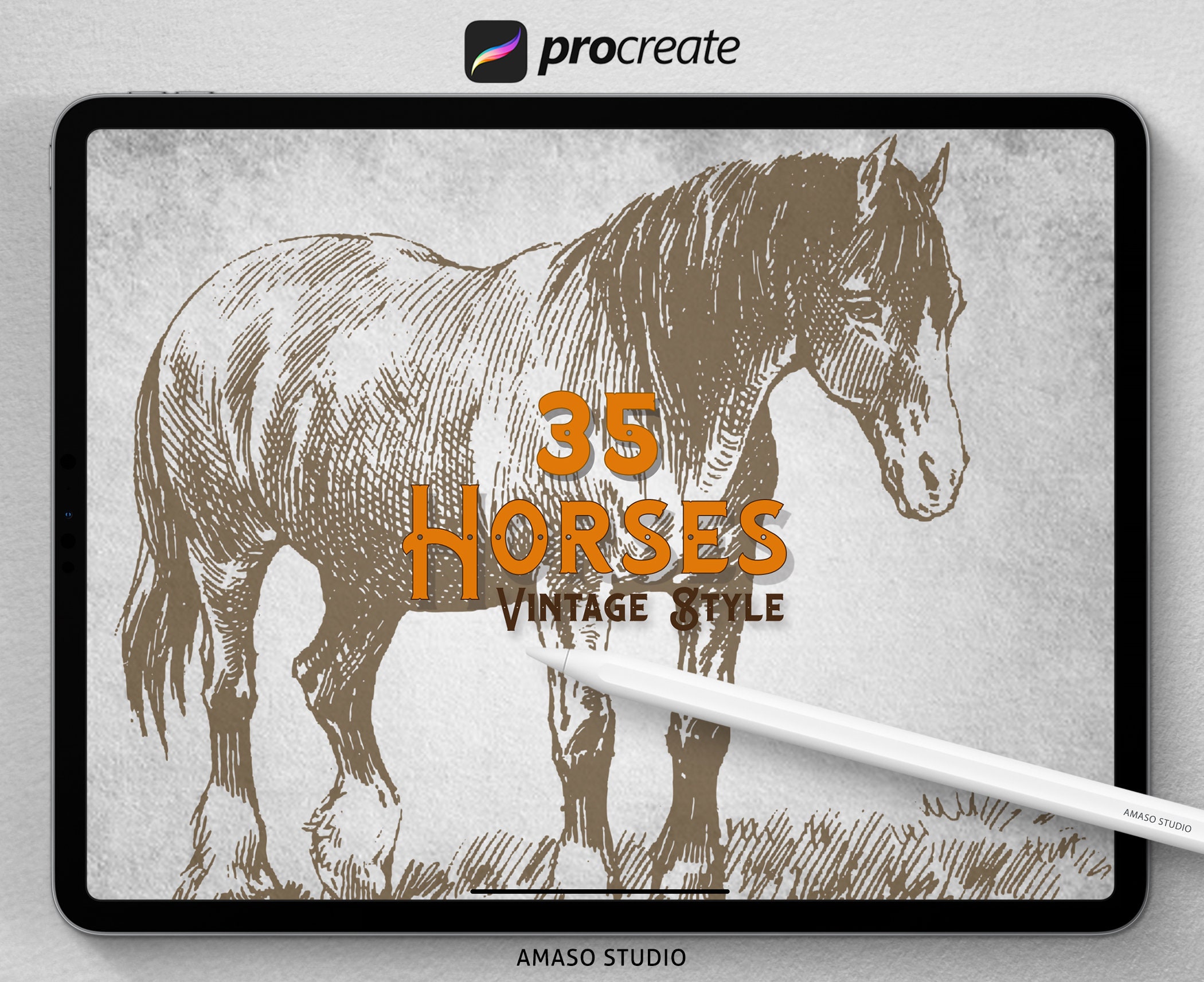 Horse Vintage Style Procreate Stamp, Horse Illustration for Procreate ...