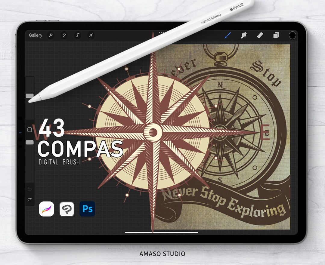 Compass for Procreate, Photoshop and Clip Studio Paint - Etsy