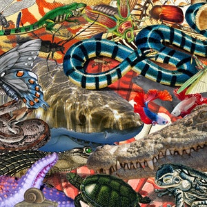 Animals Collage Creator, Over 750+ Elements High Resolution Artwork PNG ...