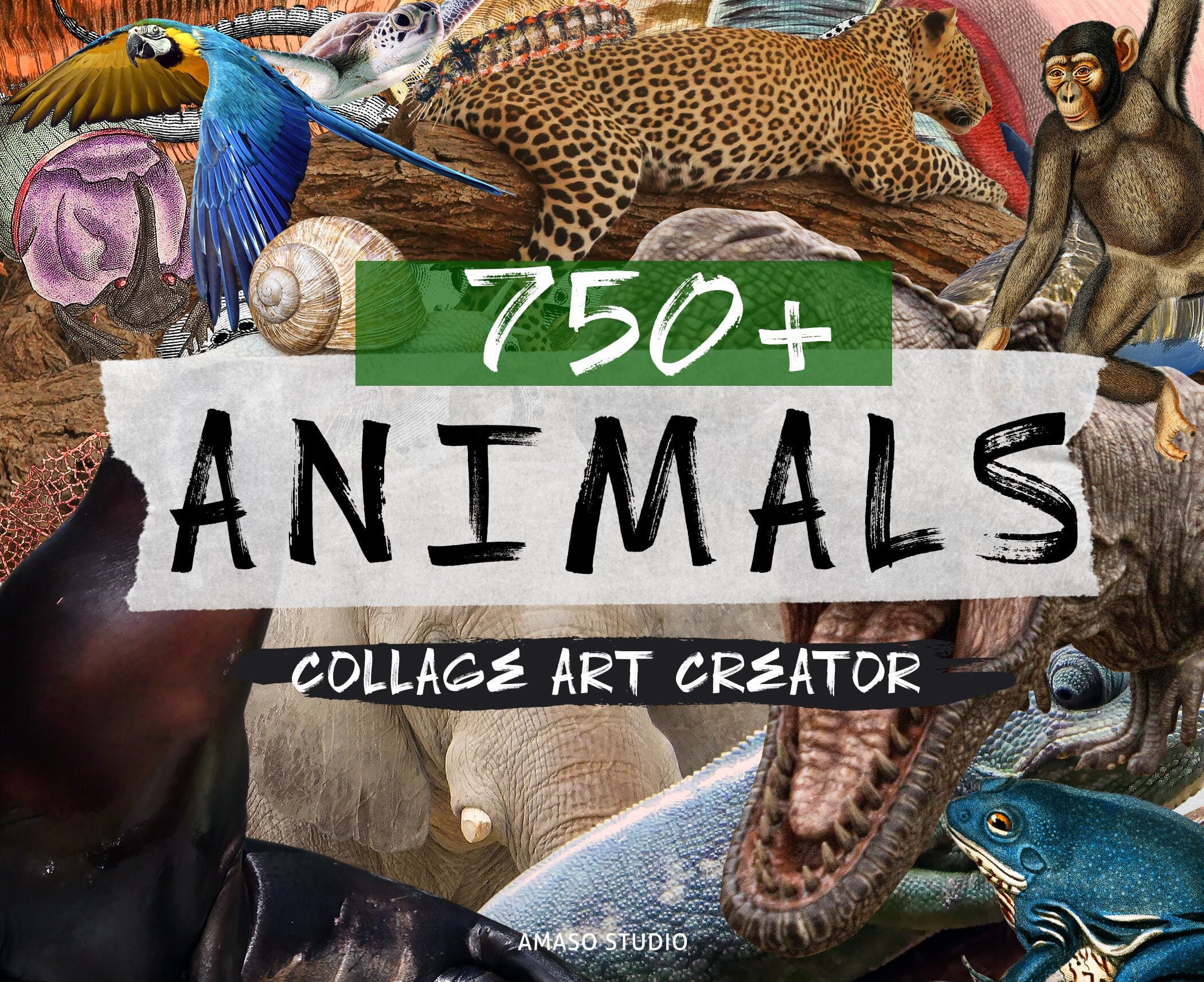 Animals Collage Creator, Over 750 Elements High Resolution Artwork PNG ...