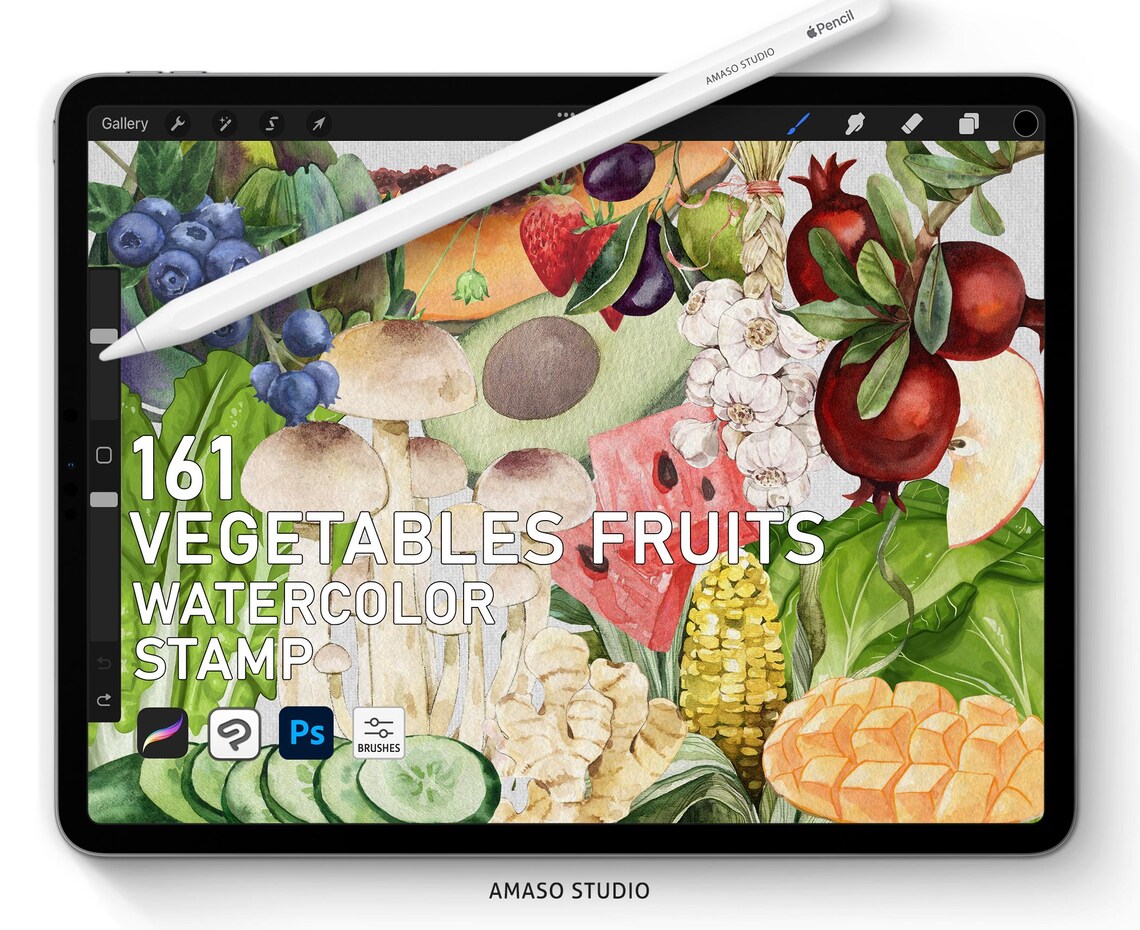 Vegetables and Fruits Watercolor Stamp Brushes – 161 Delicious Designs ...