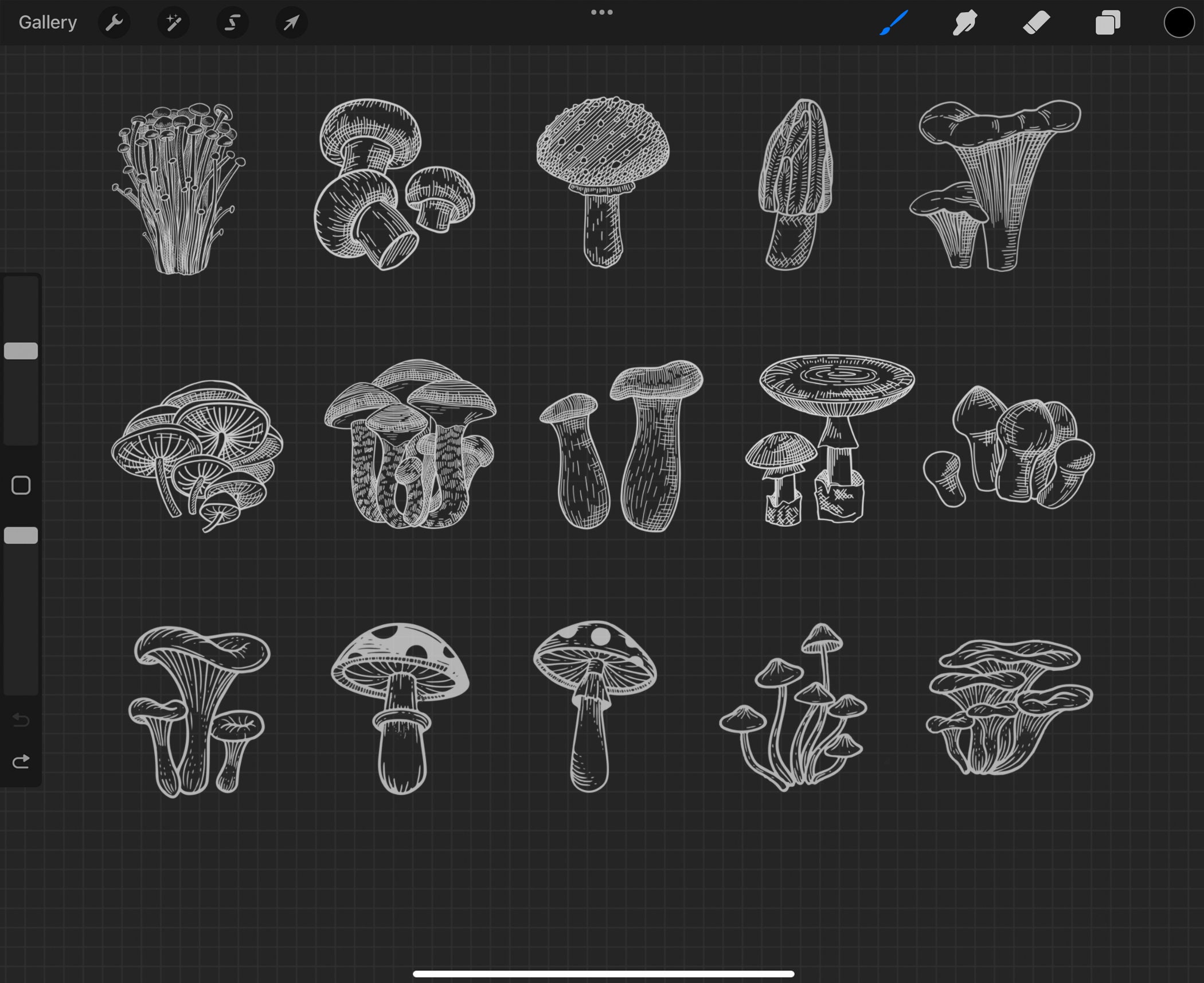Mushroom for Procreate, Photoshop and Clip Studio Paint - Etsy