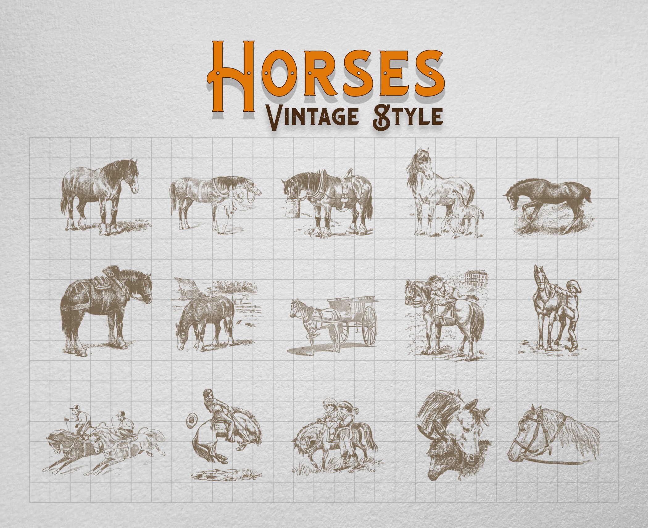 Horse Vintage Style Procreate Stamp, Horse Illustration for Procreate ...