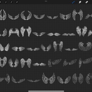 Wings Stamp for Procreate, Photoshop Brush and Clip Studio Paint Brush ...