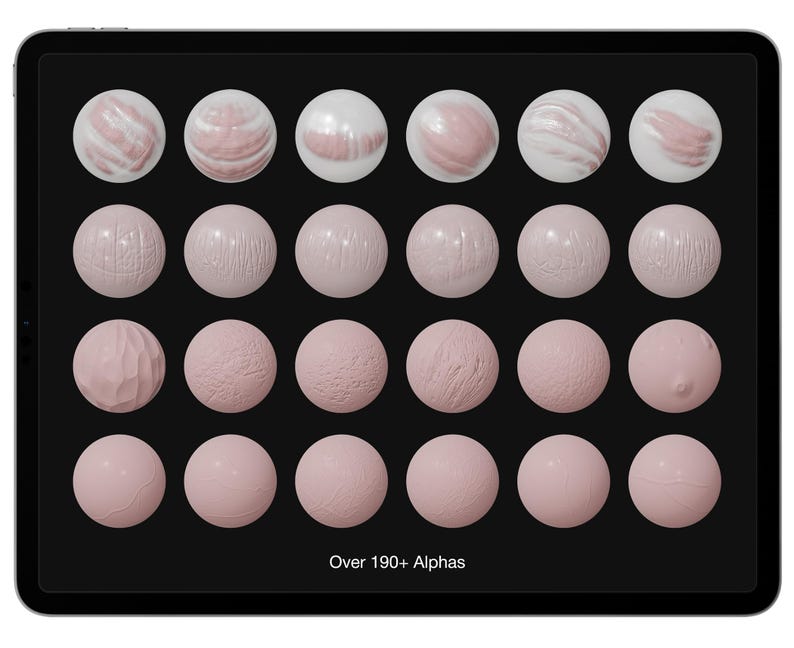 Skin Anatomy Alphas for Nomad Sculpt Blender Zbrush | Character Detail ...