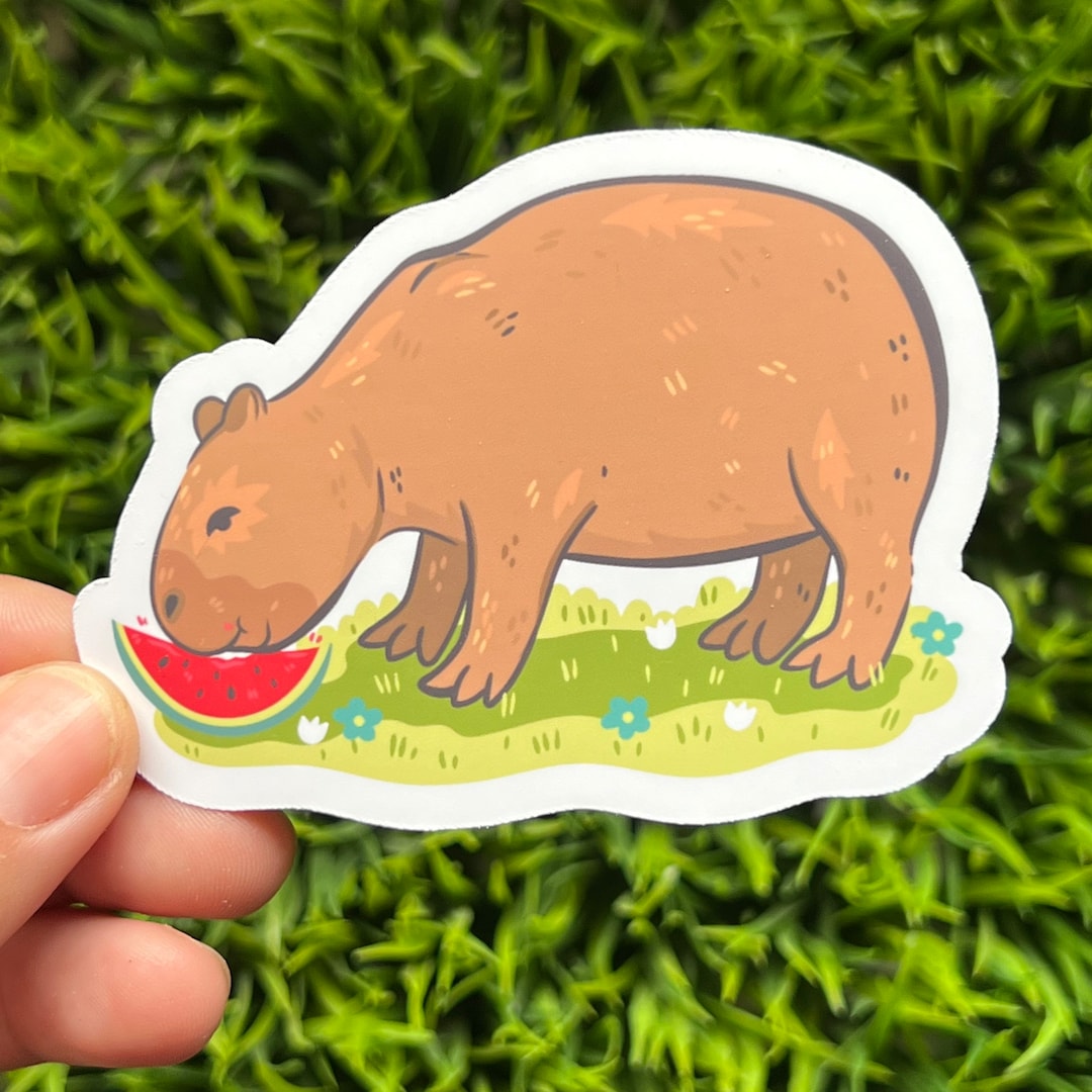 Capybara 5 Sticker - Etsy