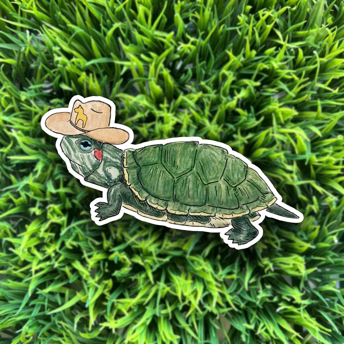 Cowboy Turtle Sticker - Etsy