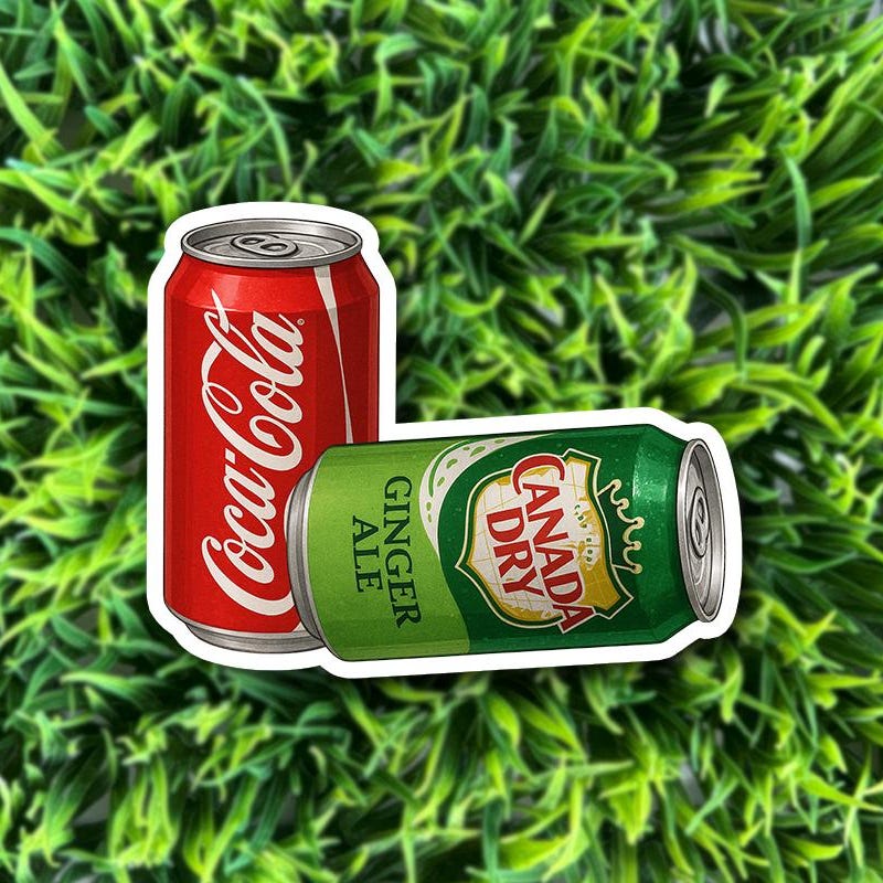 Shane Ginger Ale - Etsy