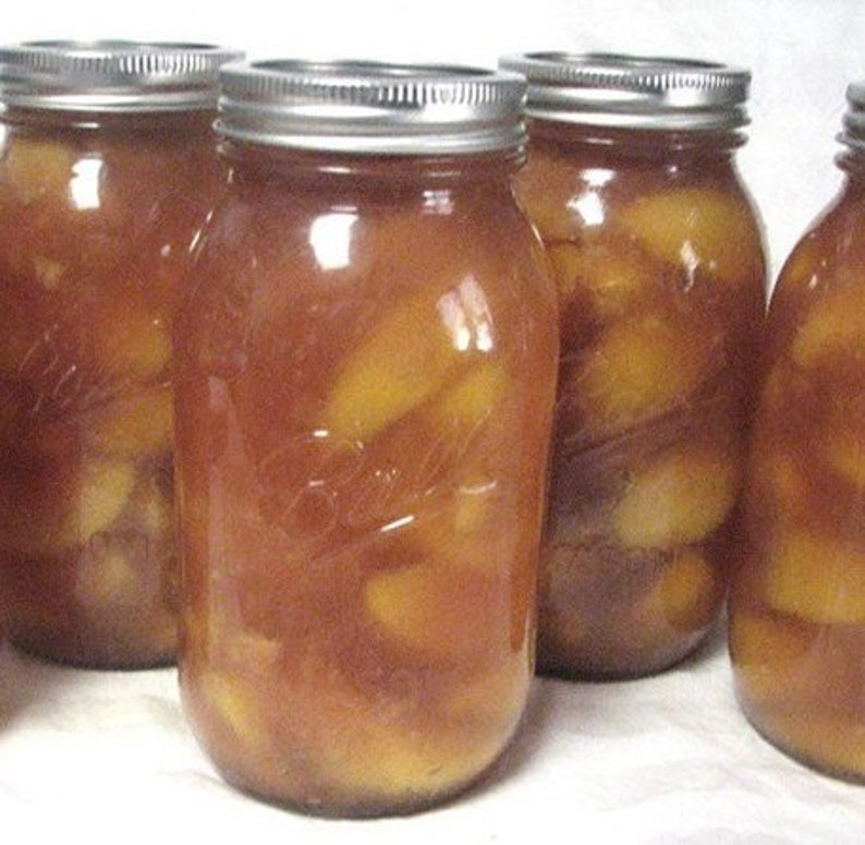 Orchard Fresh Fruit Preserving Guide (digital Pdf) - Etsy