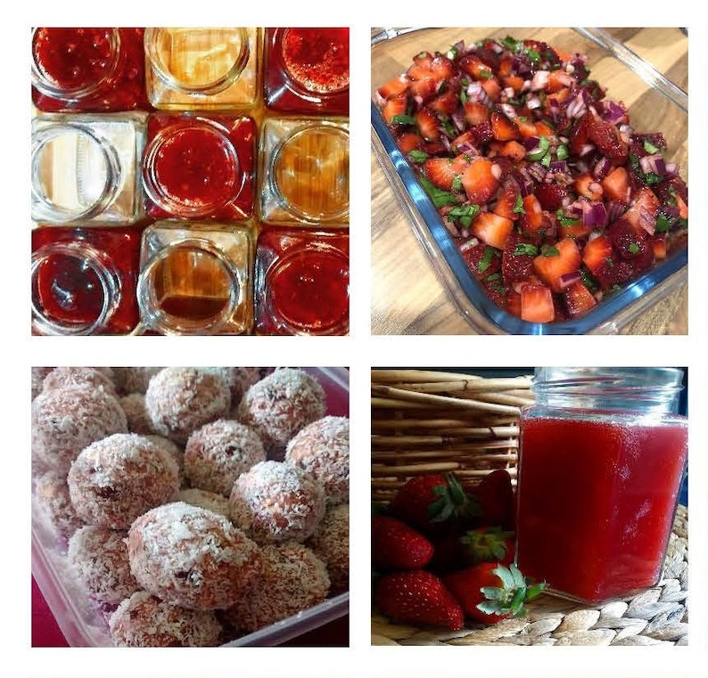 Strawberry Preserving Guide (digital Pdf) - Etsy