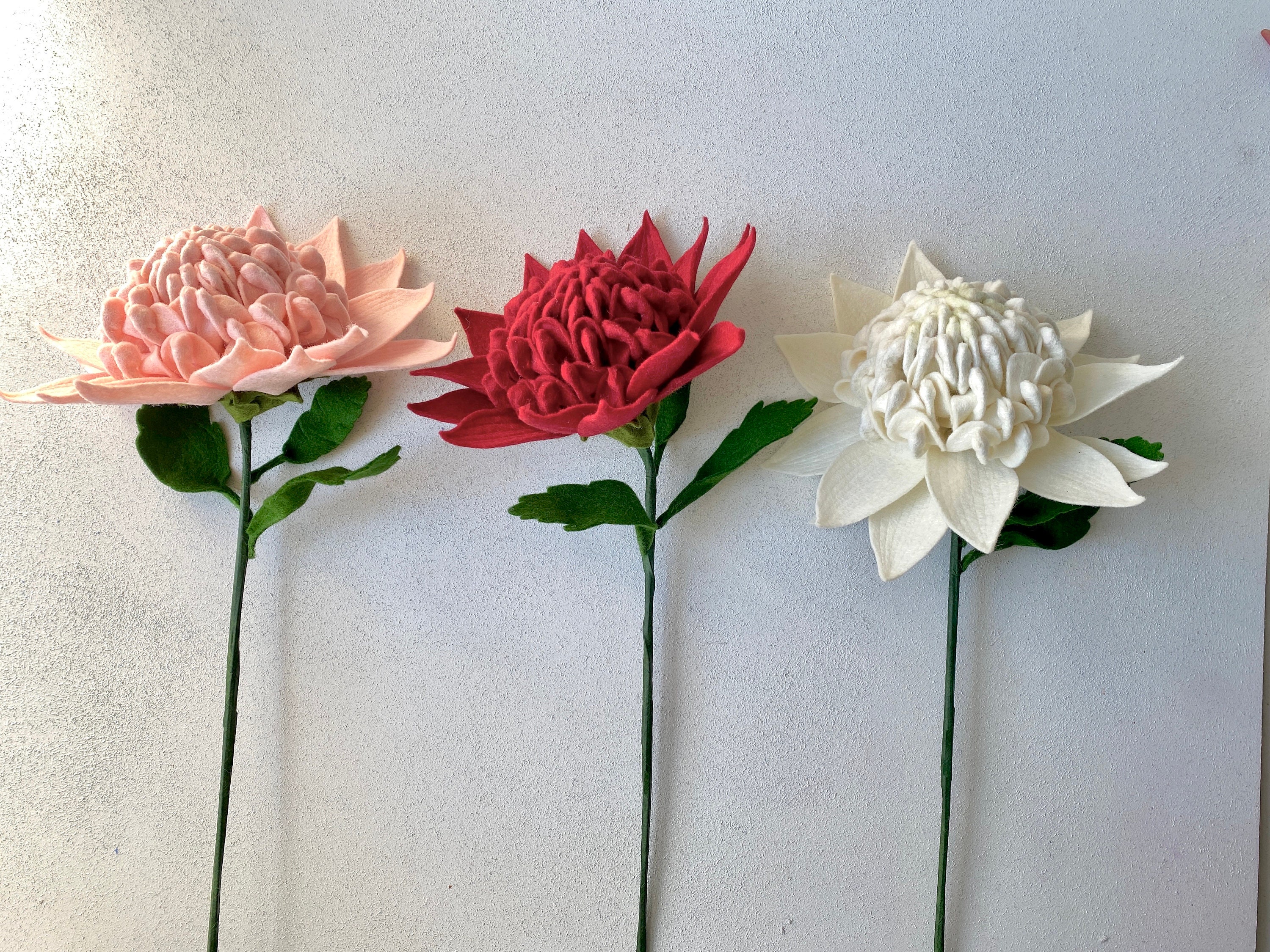 Australian Native Waratah Felt Flower, Native Artificial Plants, Native ...
