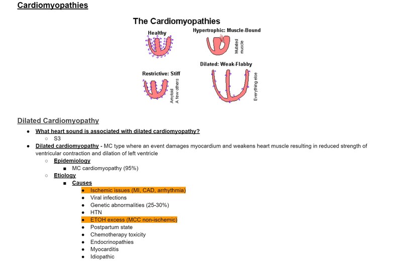 Internal Medicine EOR and Didactic Study Guide - Etsy